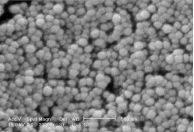 Chitosan Nanoparticles Properties And Applications