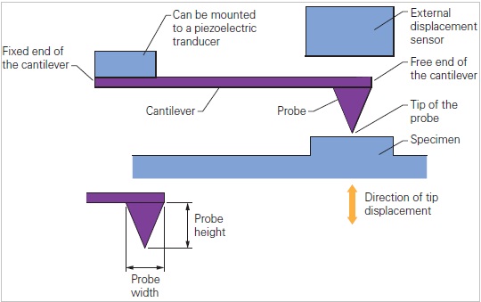 Contact Mode and TappingMode Atomic Force Microscopy