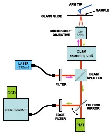 Tip-Enhanced Raman (TERS) for Characterizing Bio-Molecules at the Nanoscale