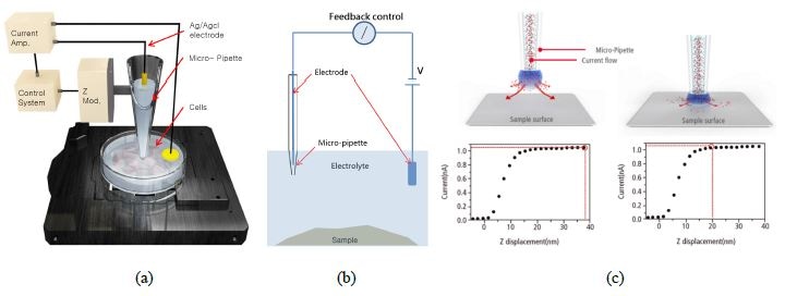 Using Park NX10 Scanning Ion Conductance Microscopy for Electrolyte ...