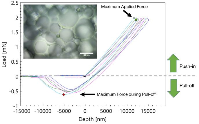 Pull-Off Force and Adhesion Strength